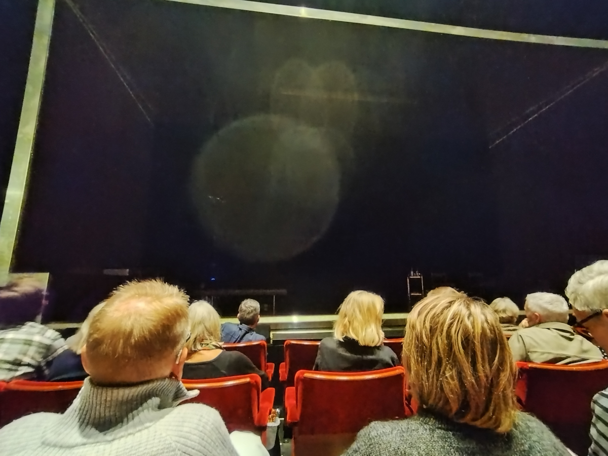 Nakenkatt i het repris – Guide Levin